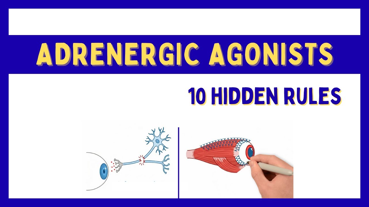 Adrenergic Agonists Pharmacology: Simplified (10 Hidden Rules) - YouTube