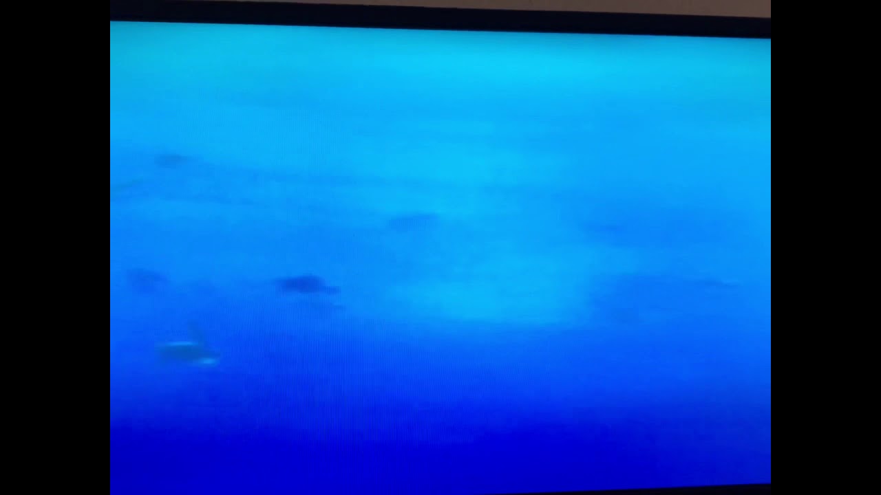 Peppa pig train roller coaster finding Nemo version - YouTube