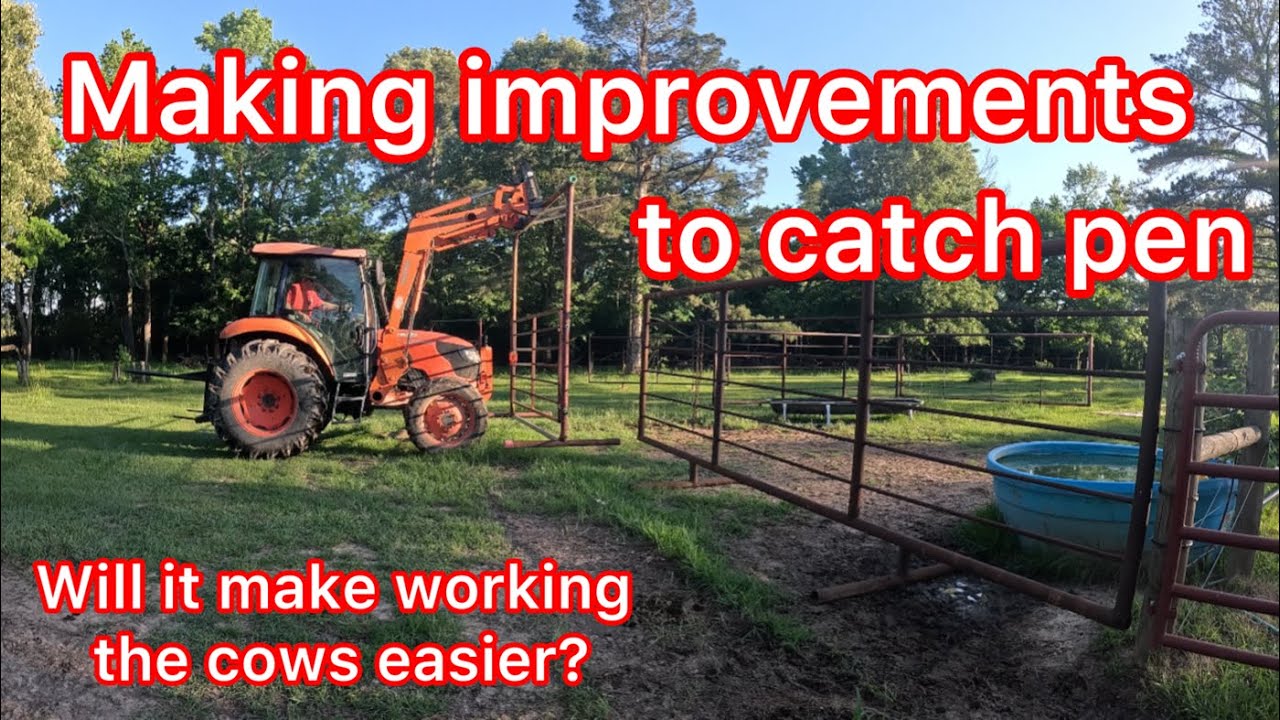 Much needed improvements to catch pen - YouTube