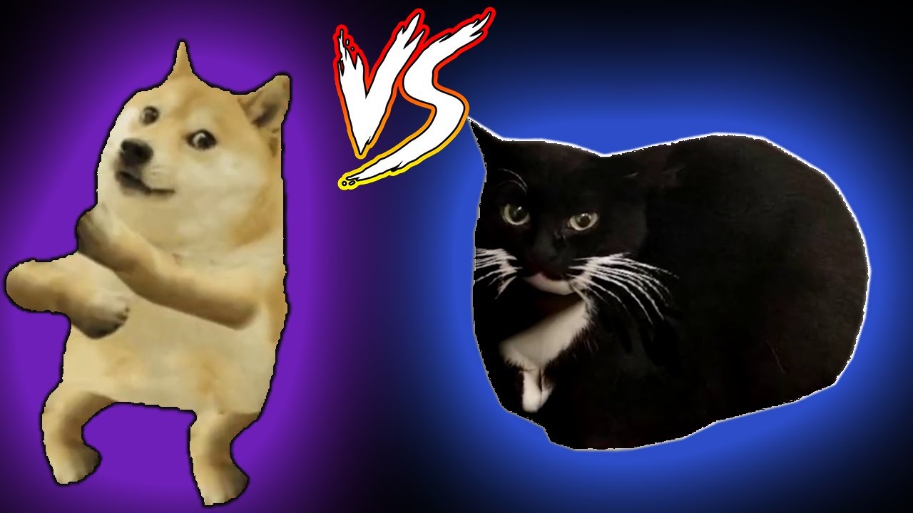 Maxwell The Cat VS Doge Dancing Sound Variations in 55 Seconds - YouTube