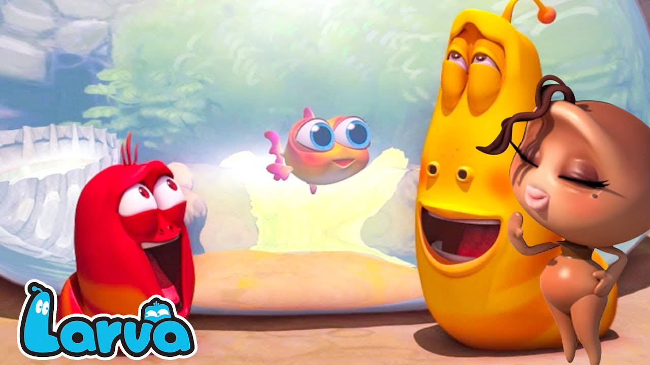 LARVA 🌟 GOLDFISH🍓TOP 100 BEST LARVA MOVIES🌟CARTOON COMPILATION FOR LIFE ...