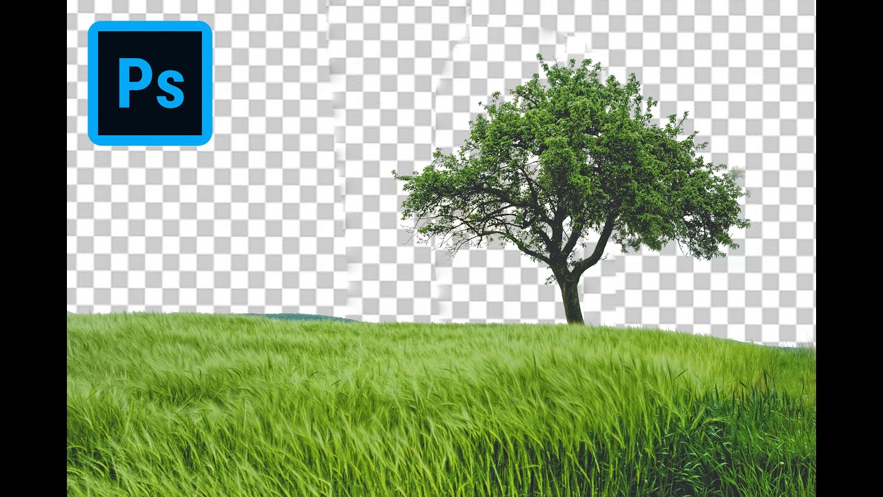 How to cut out tree in photoshop! in just under 2 minutes.! - YouTube