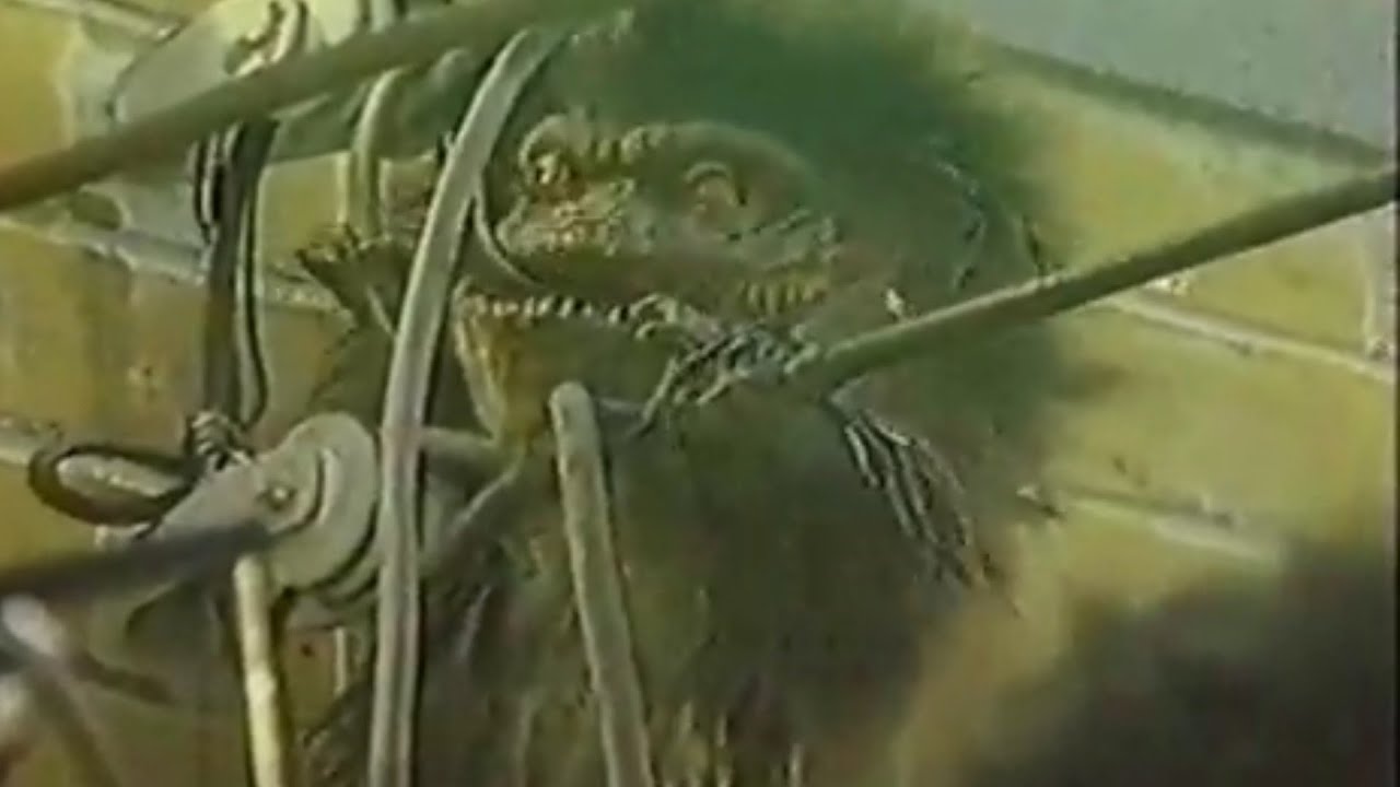 The Making of Critters 2: The Main Course| Behind the Scenes Footage ...