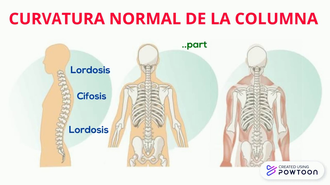 "Meet Jane" Explainer - YouTube