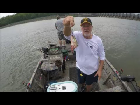 How to Catch BIG FISH below the Dam - Catching Fish from the Bank or ...