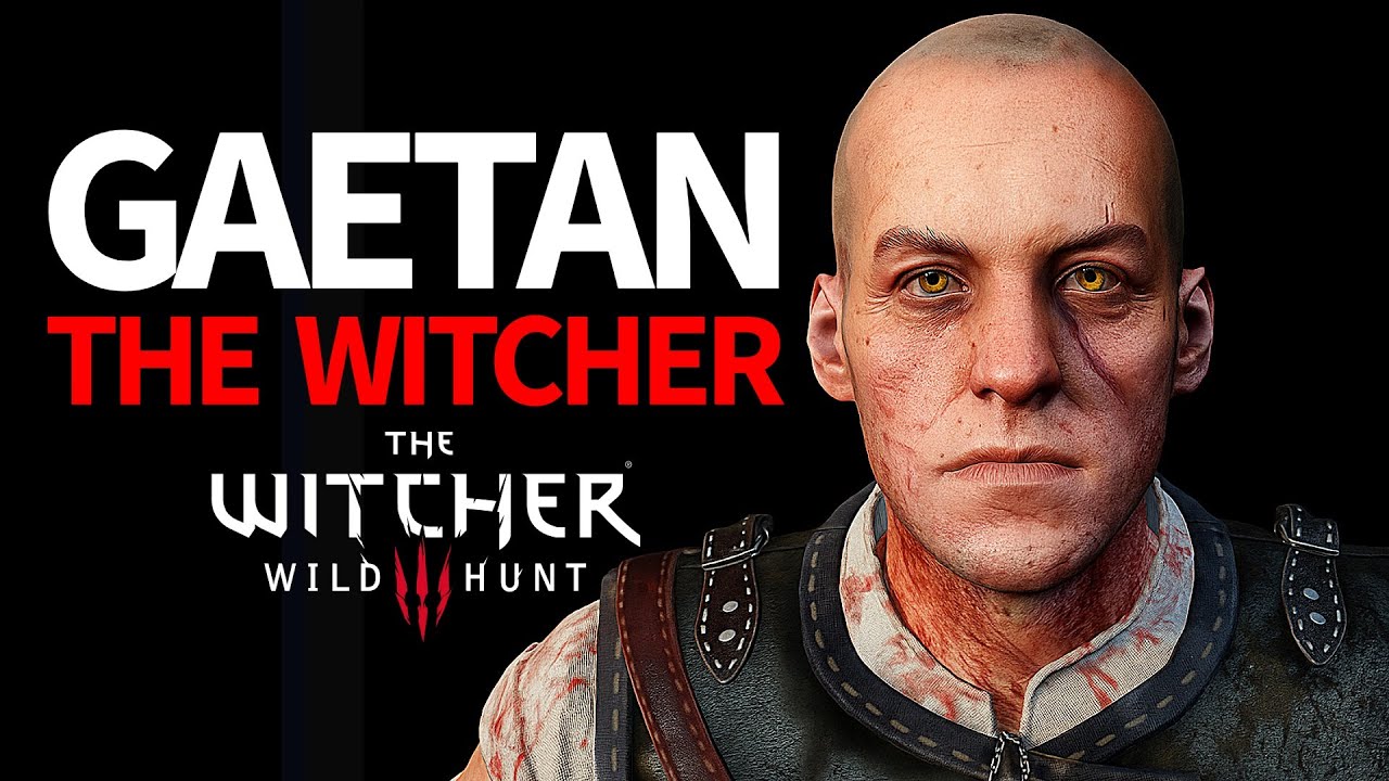 The Wolf Confront The Cat - The Witcher 3 - YouTube