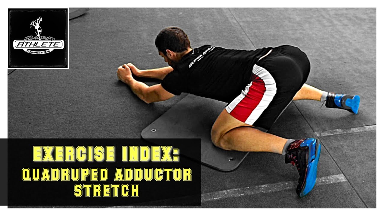 Super Athlete T.S.- Exercise Index: Quadruped Adductor Stretch - YouTube