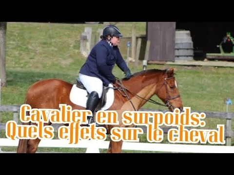 Le surpoids du cavalier: les effets sur le cheval - YouTube