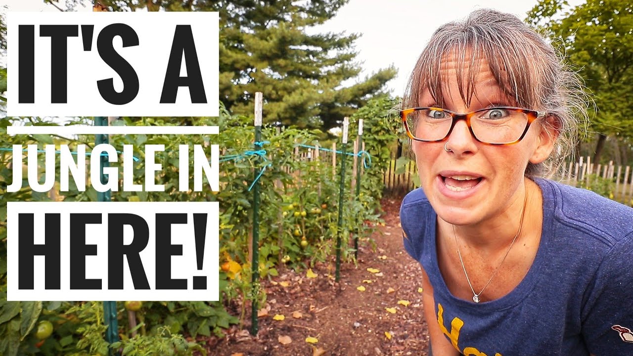 1870s Garden Tour AUGUST Edition | Homesteaders of America ...