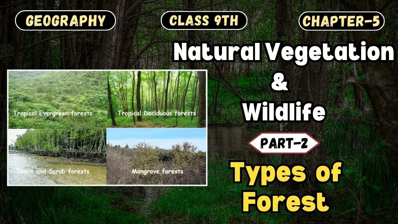 Natural Vegetation & Wildlife | Types of Forest Part-2 | CBSE Class 9th ...