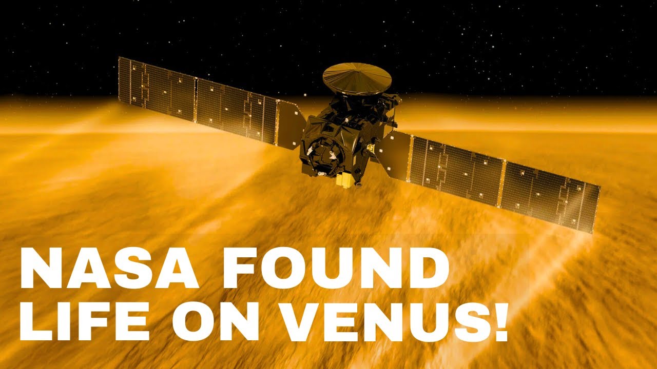 Finally! NASA's Discovery of Life on Venus Is Closer Than We Think ...