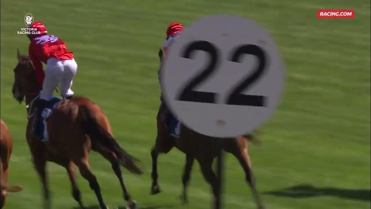 New Year's Day Race Day - Last 400m Recap - YouTube