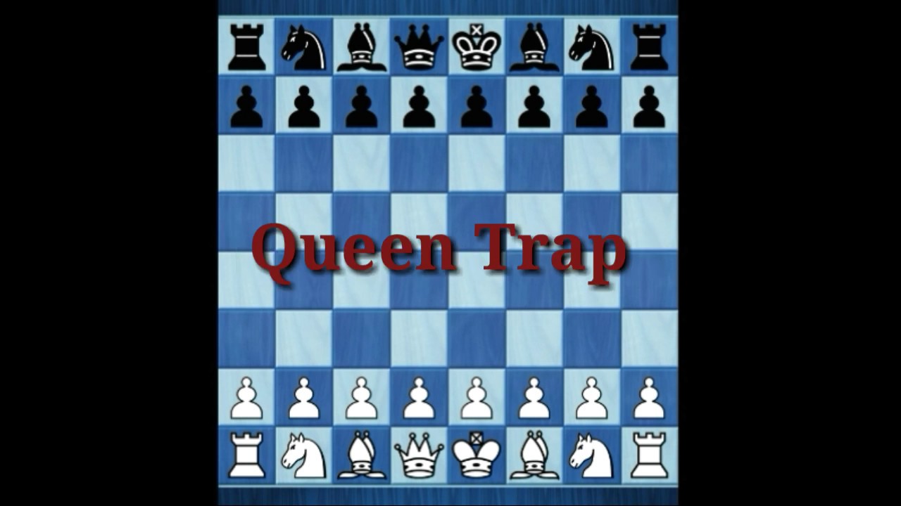 Tennison Gambit Queen Trap - YouTube