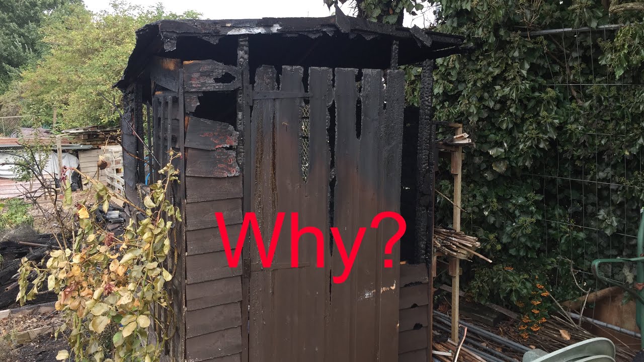 Allotment Shed Burnt Down 🙁 Also putting up Trellis after rebuild ...