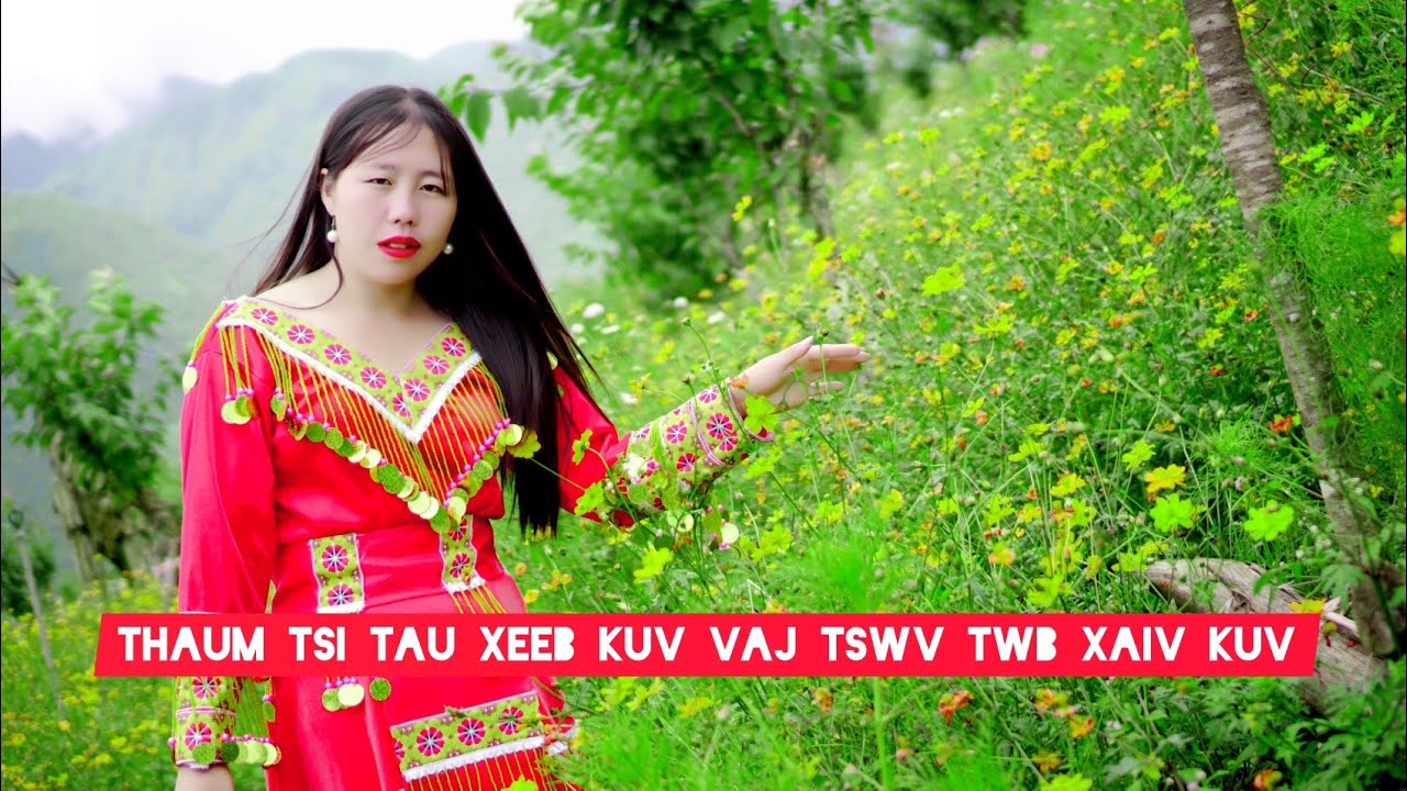 nkauj ntseeg nkauj tawm tshiab //thaum tsi tau xeeb kuv rau niam plab // Niam Ntsuab Zoo - YouTube