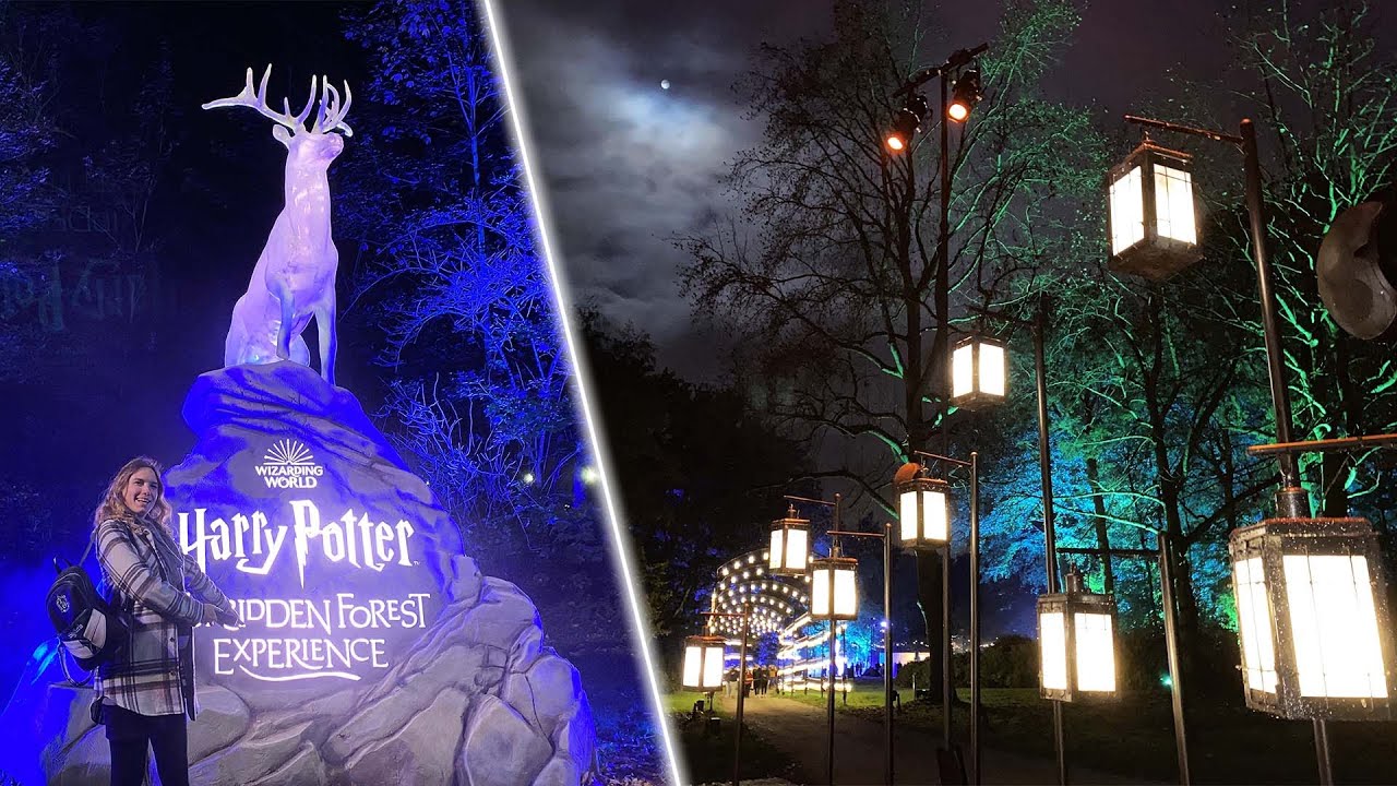 HARRY POTTER A FORBIDDEN FOREST EXPERIENCE [VLOG] - YouTube