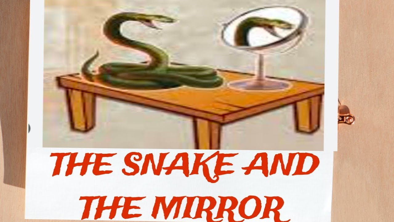 The Snake and the Mirror | lesson 5 | class9 | english beehive | - YouTube