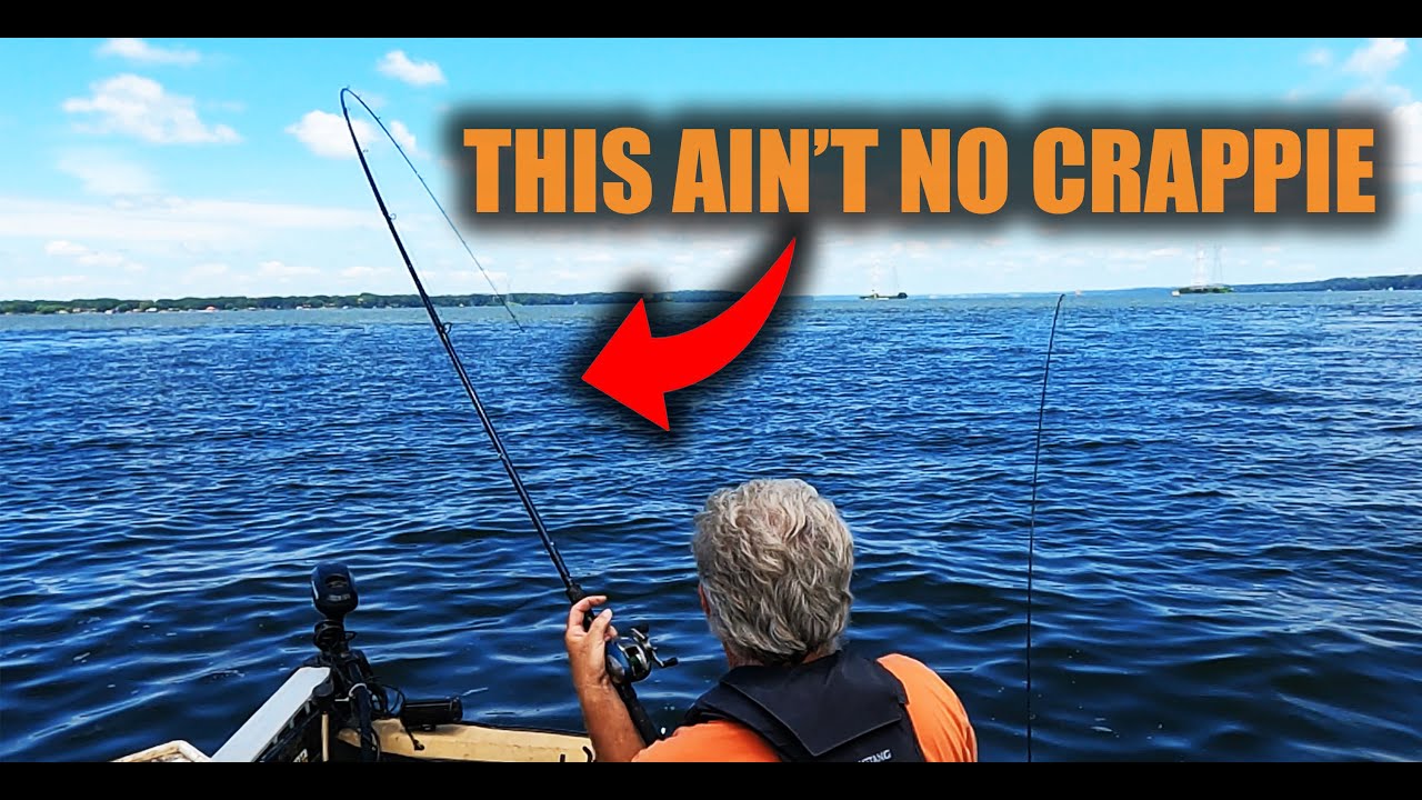 A Fishing BAIT that Catches Fish for Dinner ! ! ! ( Catch and Cook ...