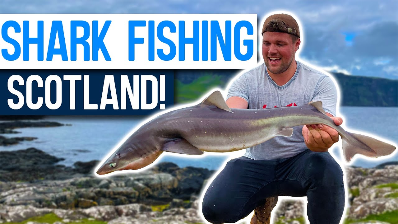 SHARK FISHING from the SHORE in Scotland! New PB'S! - YouTube