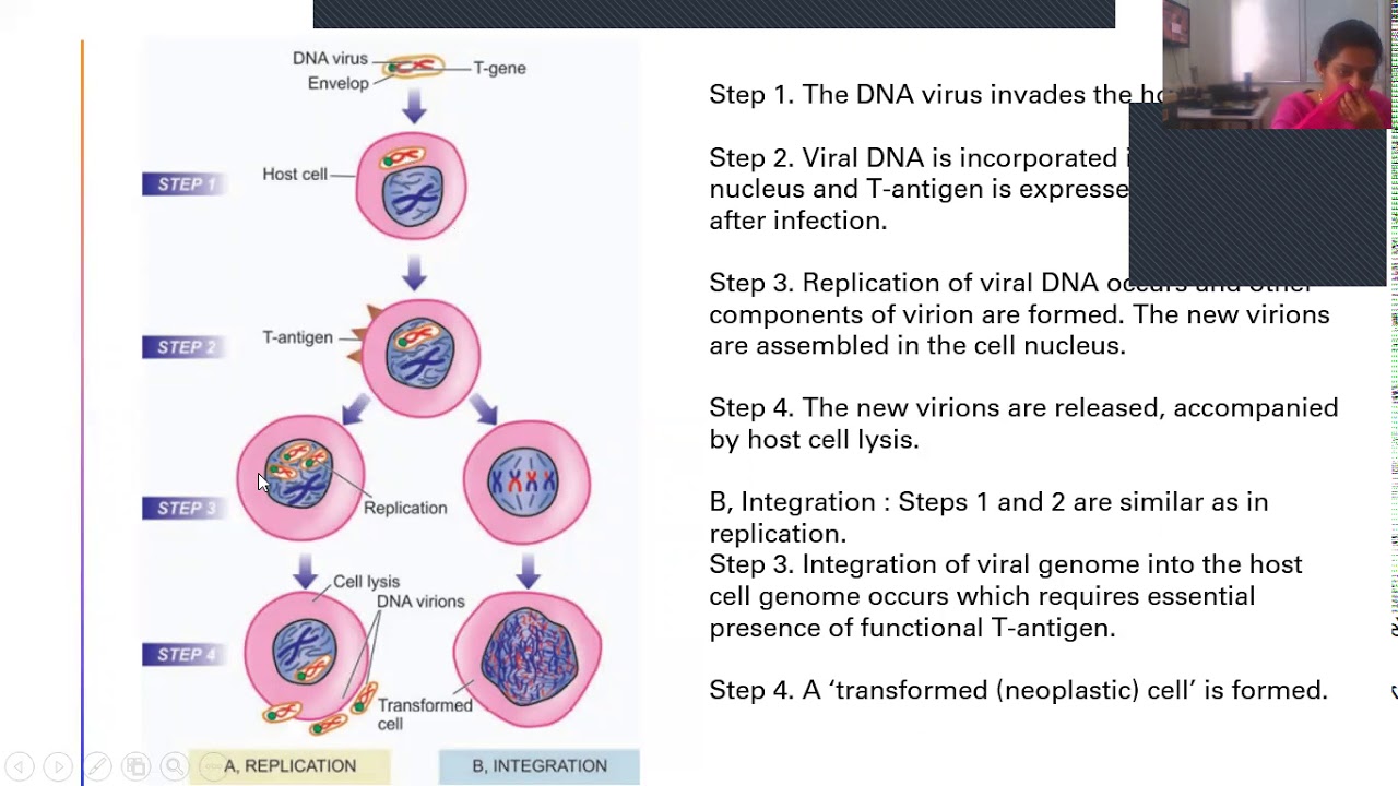 viral oncogenesis - YouTube