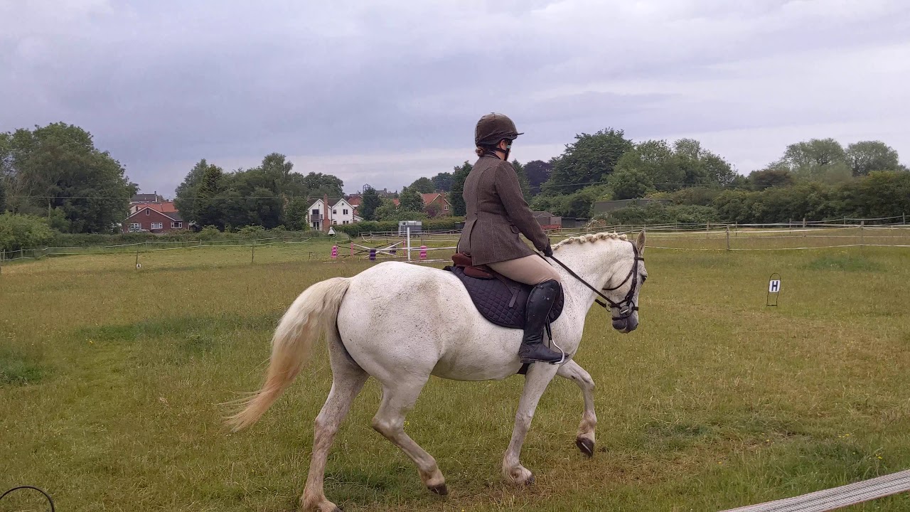 123 Holly Souter and Luna BRC virtual dressage walk and trot - YouTube