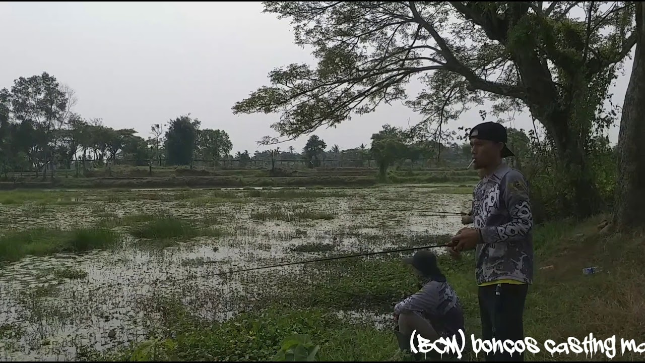 Mancing bareng (BCM) - YouTube