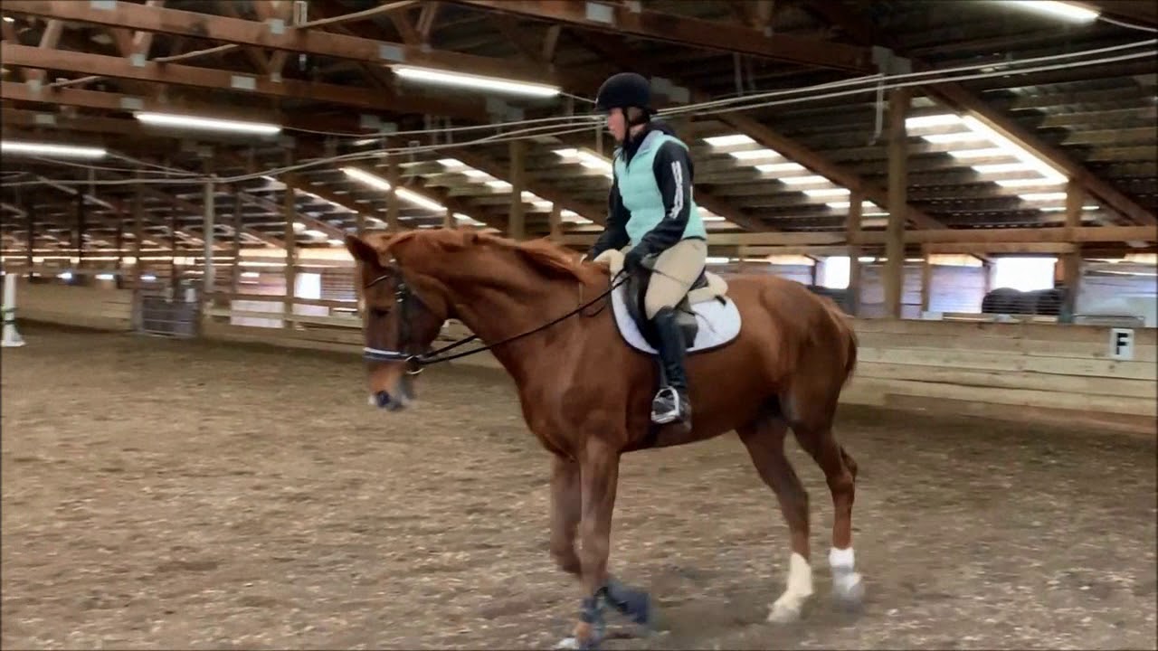 Amelia Moore Flatwork Nov.2020 - YouTube