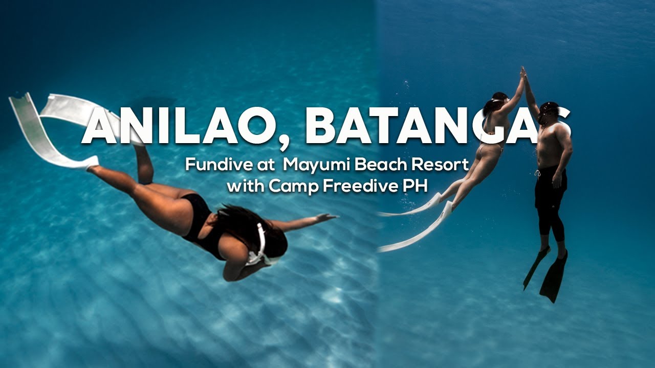 ANILAO, BATANGAS Fundive with Camp Freedive PH SEPT 2023 - YouTube