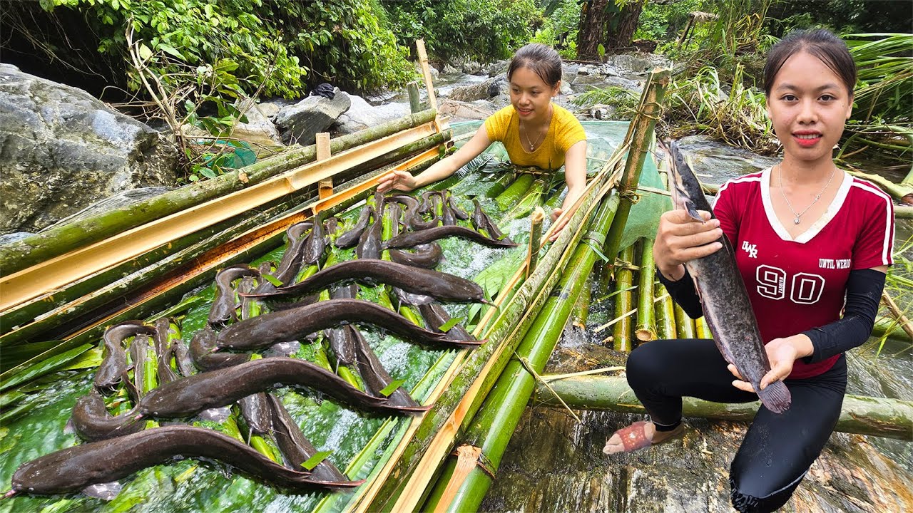Girl weaves bamboo to catch big fish! Unbelievable fishing techniques ...