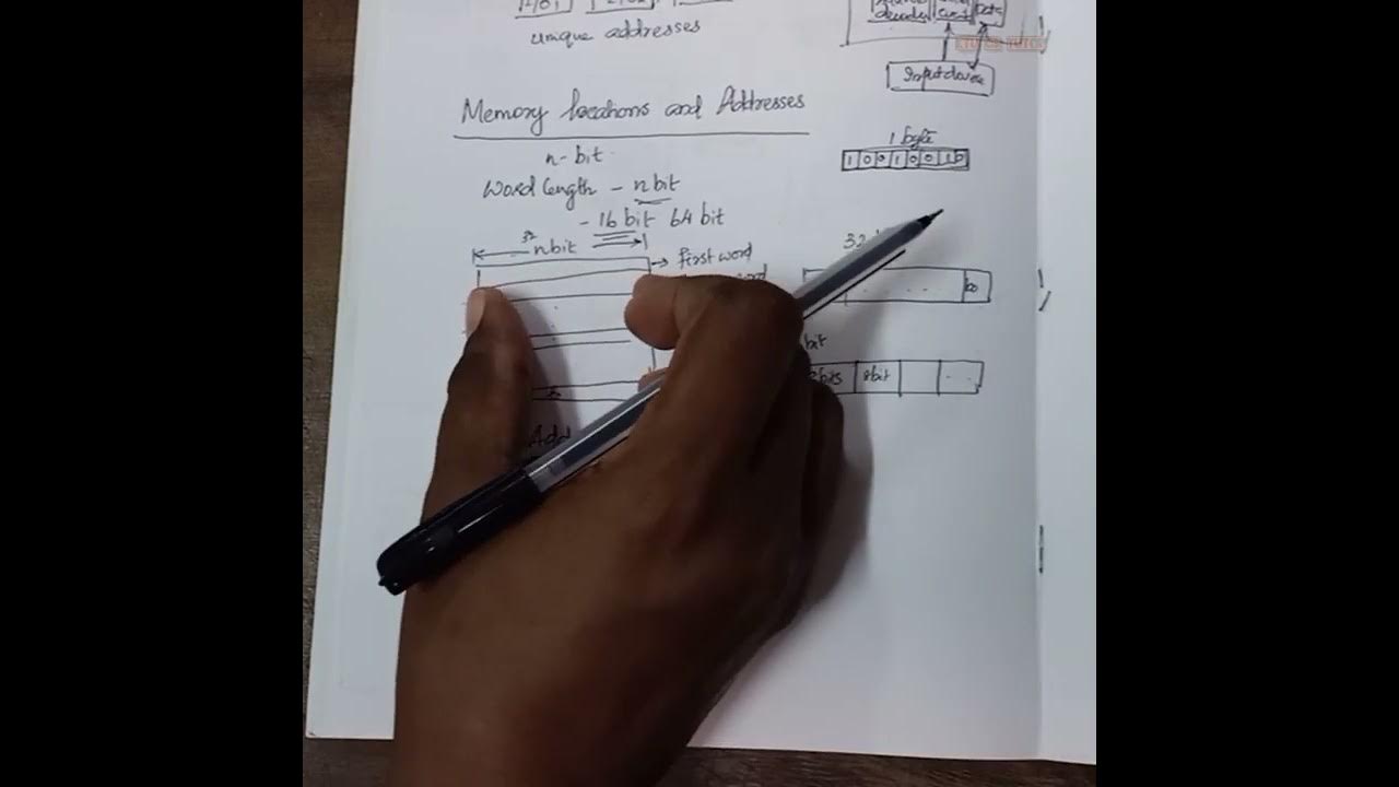 KTU CST202 COA|Module 1 Part 2|Bus Structure, Memory locations, addresses, byte addressability ...