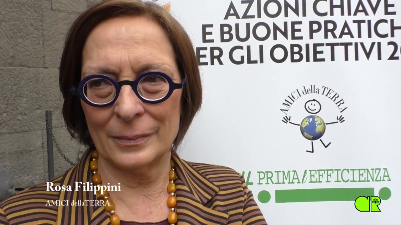 Prima l'Efficienza Energetica, intervista a Rosa Filippini di AMICI ...