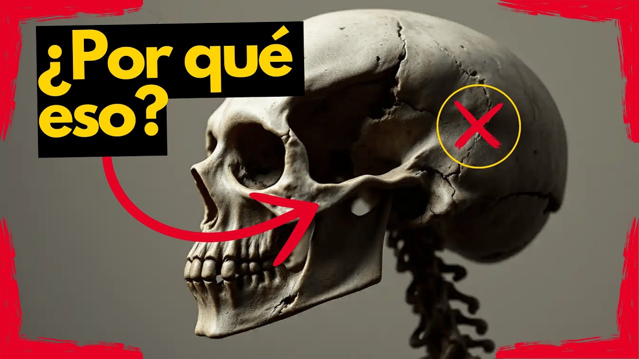 150 Datos Curiosos Del Mundo - ¿No lo sabías? - YouTube