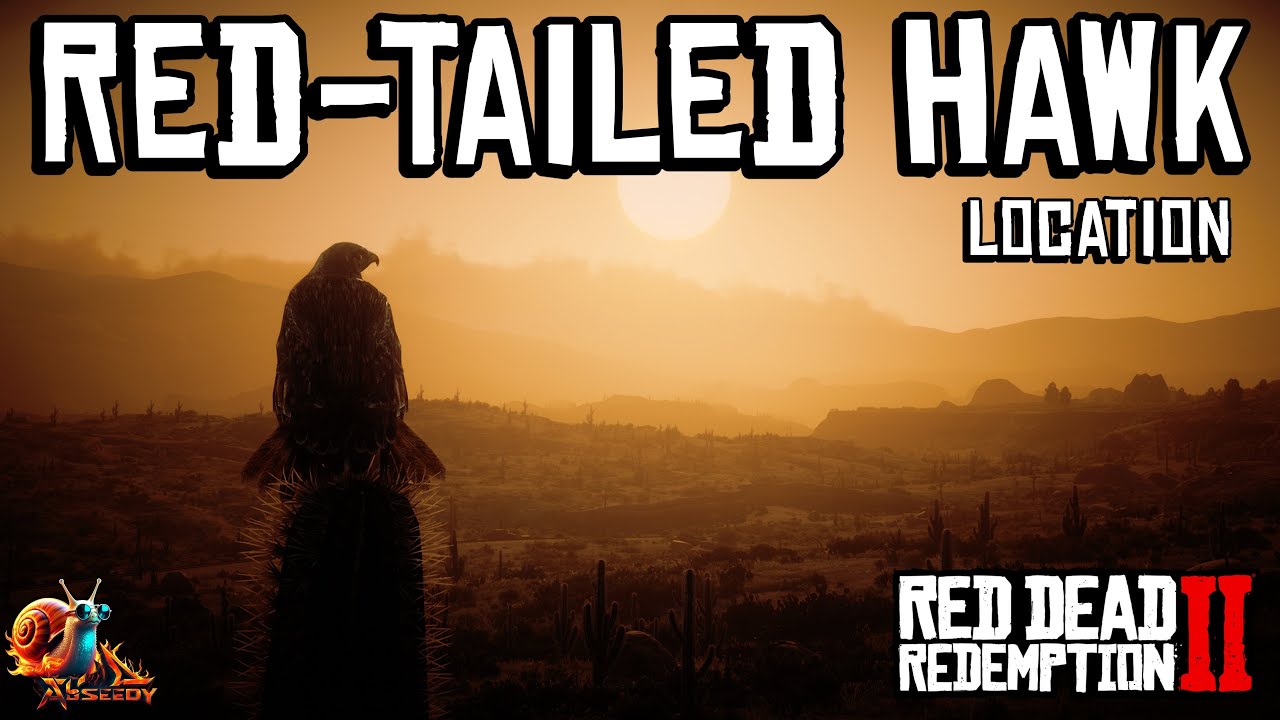Red-Tailed Hawk Location - Red Dead Redemption 2 - YouTube