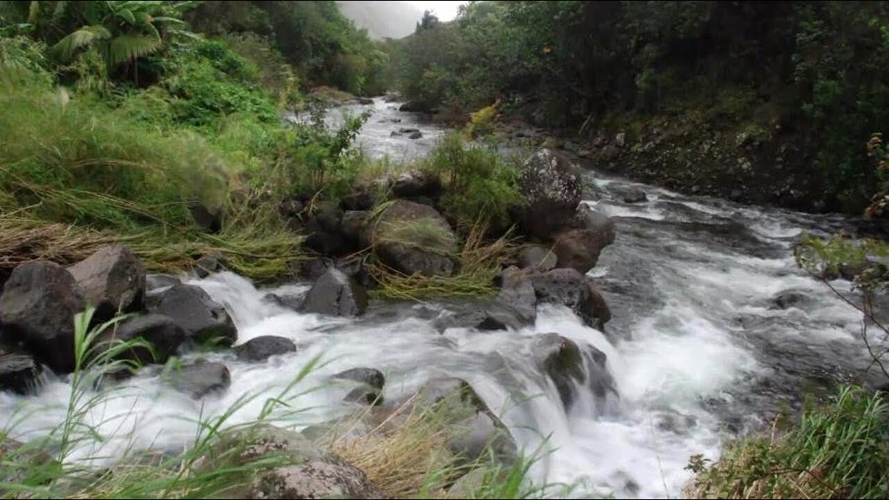 Give, Said the Little Stream - YouTube