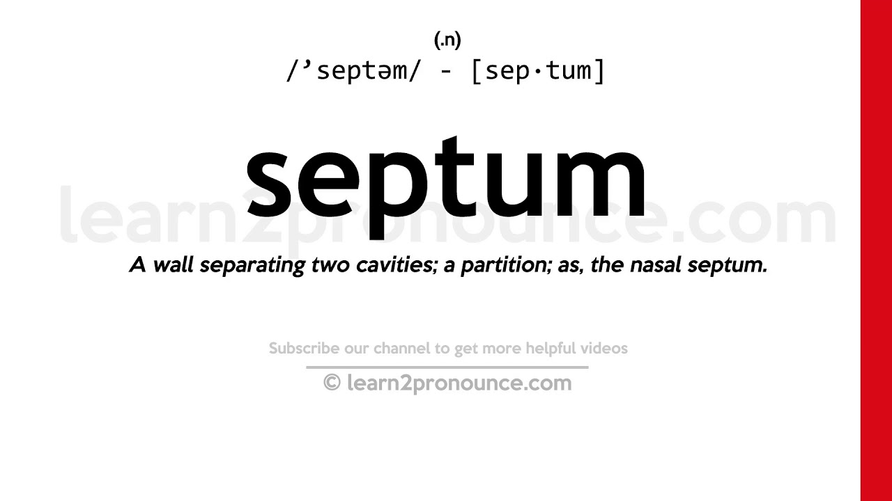 Pronunciation of Septum | Definition of Septum - YouTube