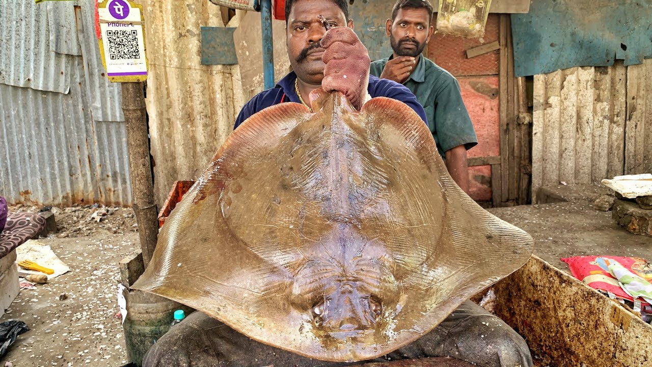 KASIMEDU 🔥 SPEED SELVAM | FLYING RAY FISH CUTTING VIDEO | 4K VIDEO | KM ...