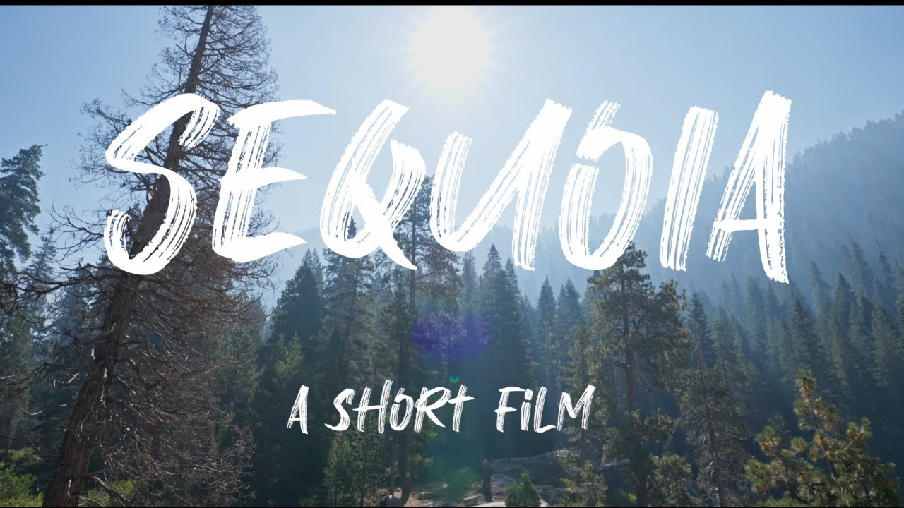 Sequoia Short Film Concept Trailer - YouTube