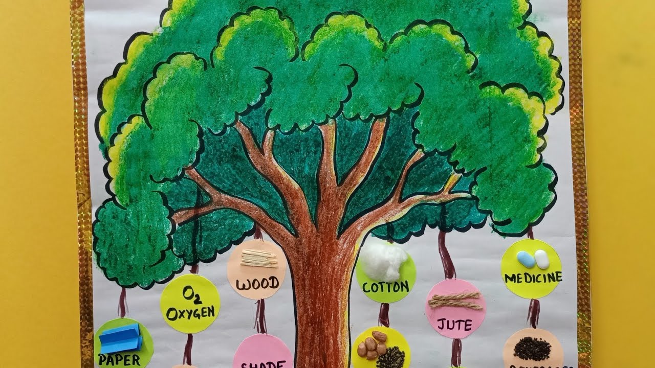 Trees activity/ uses of trees/ importance of trees/ things we get from ...
