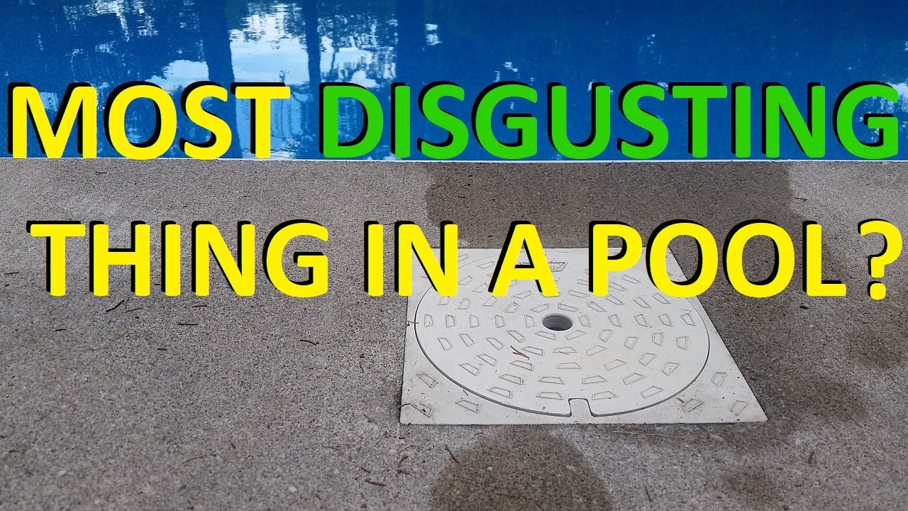 What Is The GROSSEST Part Of a Pool? - YouTube
