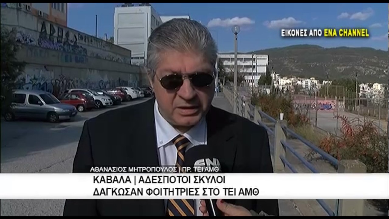 ΤΕΙ Καβάλας | Μήνυση κατά αγνώστων για τα αδέσποτα σκυλιά - YouTube