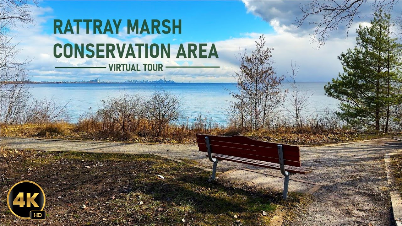 4K Virtual Tour Near Ontario Waterfront through Turtle Creek - Knoll ...