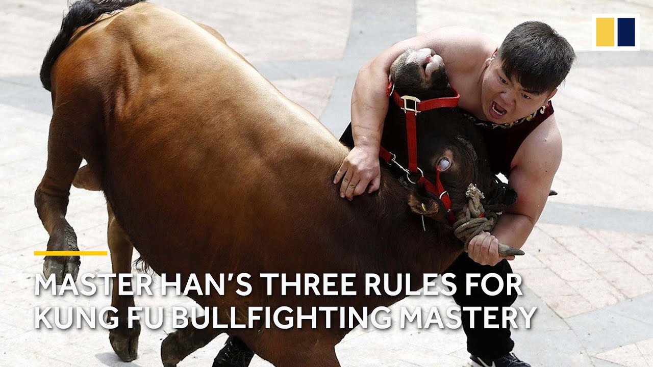 Three rules of Chinese bullfighting - YouTube