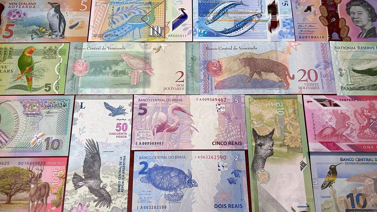 “Global Fauna on Currency: A Journey Through Animals & Birds -Themed ...