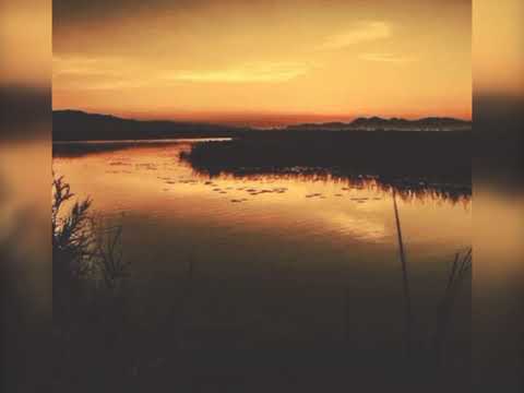 #whatsapp #status #video #love #songs #arijitsing #evening #sunset A AMAZING HEARTFELT NATURE 😌