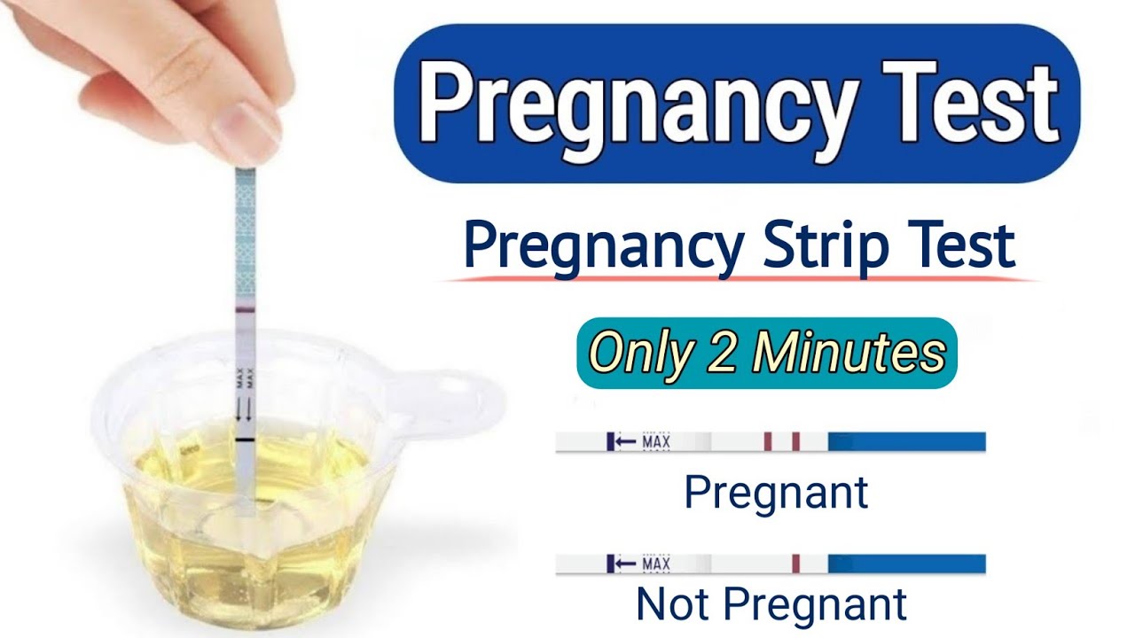 Urine Pregnancy Test at Home | hCG Strip Test Explained - YouTube