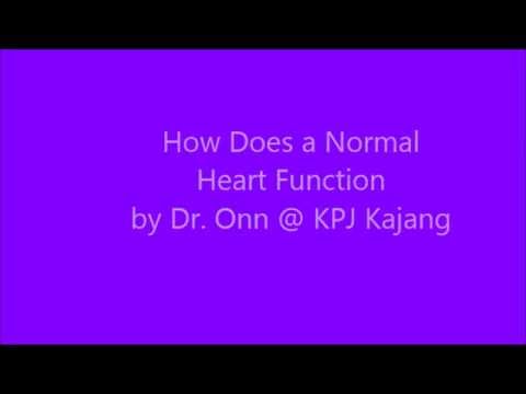 How normal heart function Dr Onn Akbar Ali Consultant Cardiologist KPJ ...