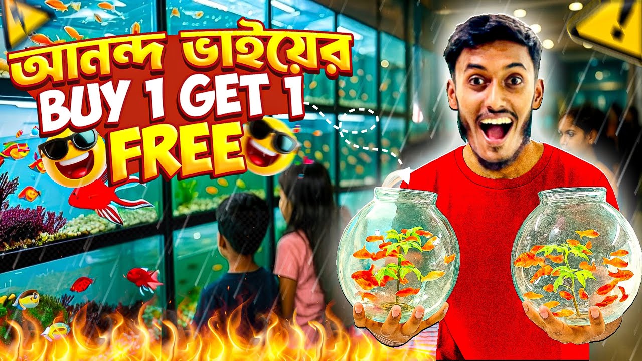 আনন্দ ভাইয়ের Buy 1 Get 1 ফ্রী অফার | Aquarium fish price in Bangladesh ...