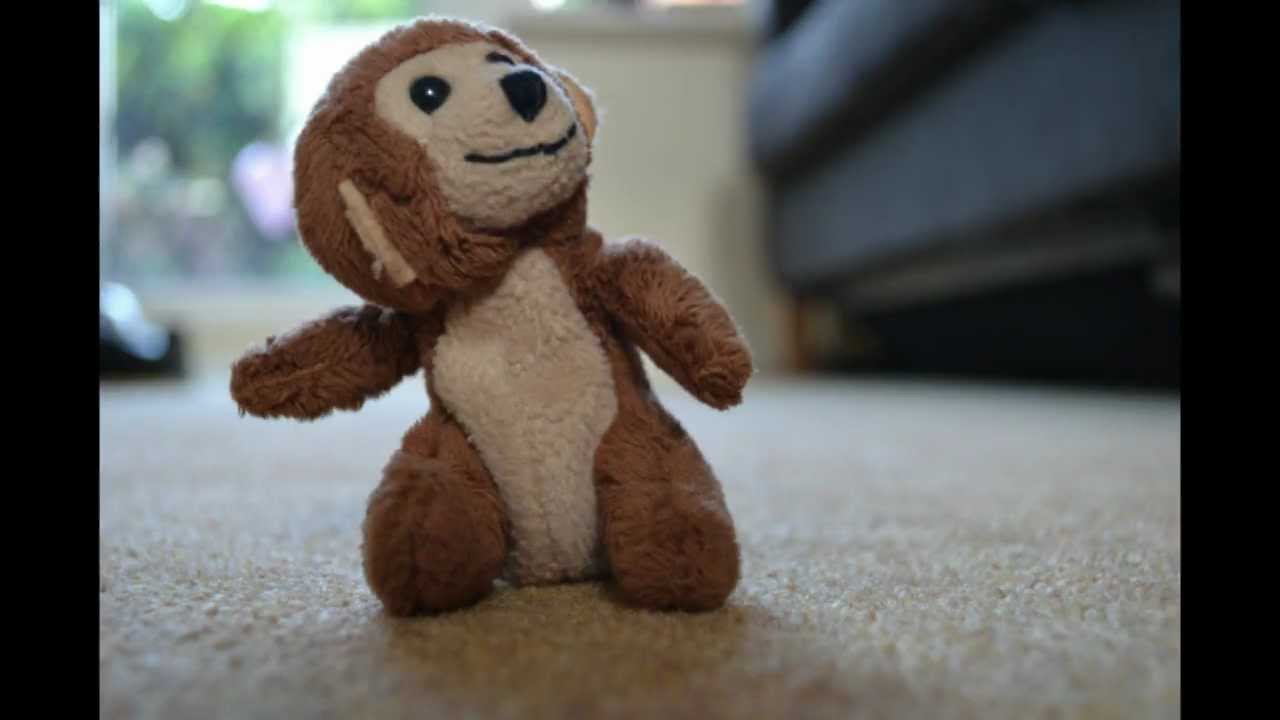 George the Monkey - YouTube