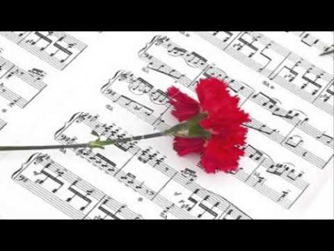 Mine Şen - KIRMIZI KARANFİL ( plak )