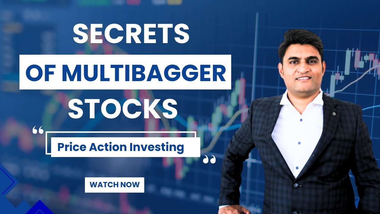 Introduction to Multi-Bagger Investing: Unveiling the Path to Exceptional Stock Returns-ZAFAR ...